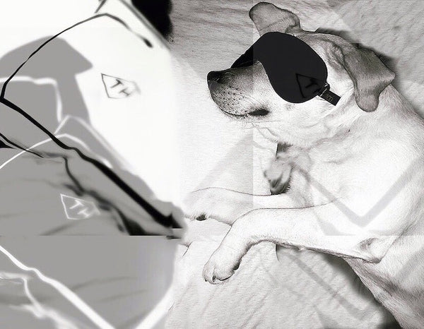 Bedsheets Online, Luxury Bedding Sets, Bed Linen India – BEDLAM